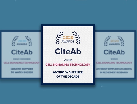Cell Signaling Technology – Antibody Supplier of the Decade | CiteAb Blog