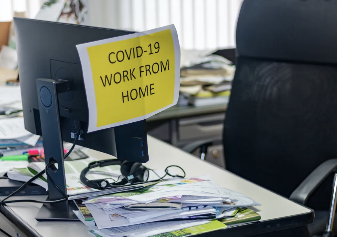 Update – we were back in the office – briefly! | CiteAb Blog