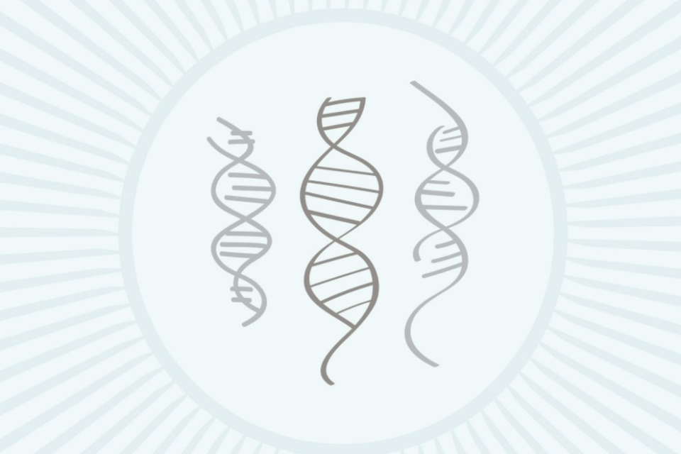 Antibody-oligo Conjugate (AOC) GuideCiteAb Blog