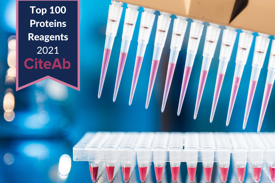 What were the top 100 cited protein reagents of 2021? - CiteAb ...