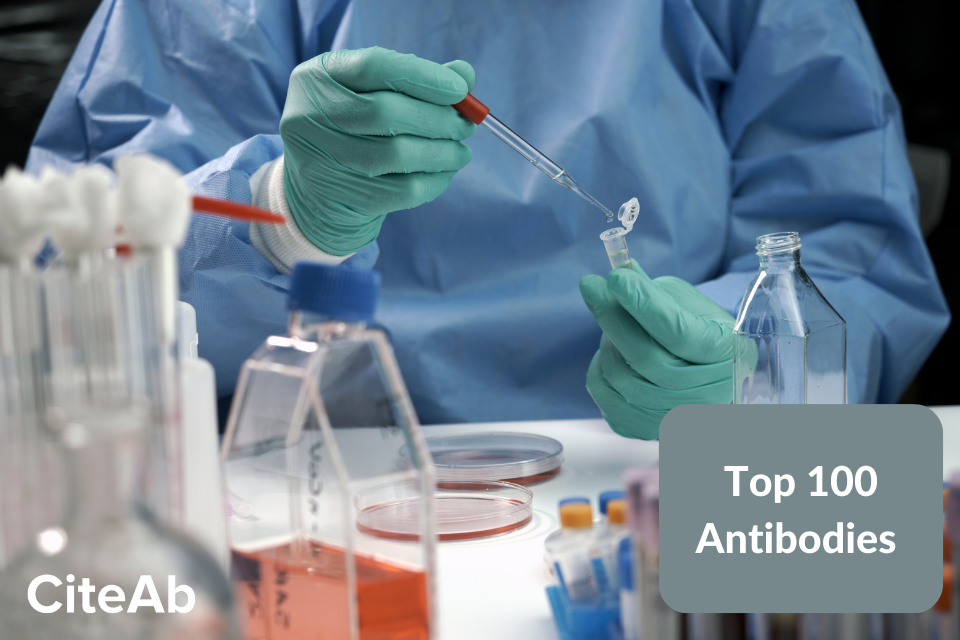 What were the top 100 research antibodies of 2022? - CiteAb BlogCiteAb Blog
