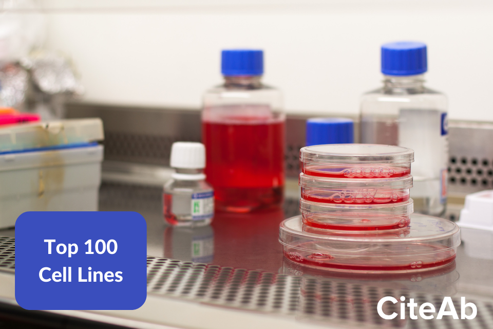 What were the top 100 cell lines of 2022? - CiteAb BlogCiteAb Blog