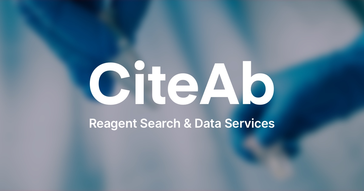 What are the most used loading controls for Western Blotting? | CiteAb Blog