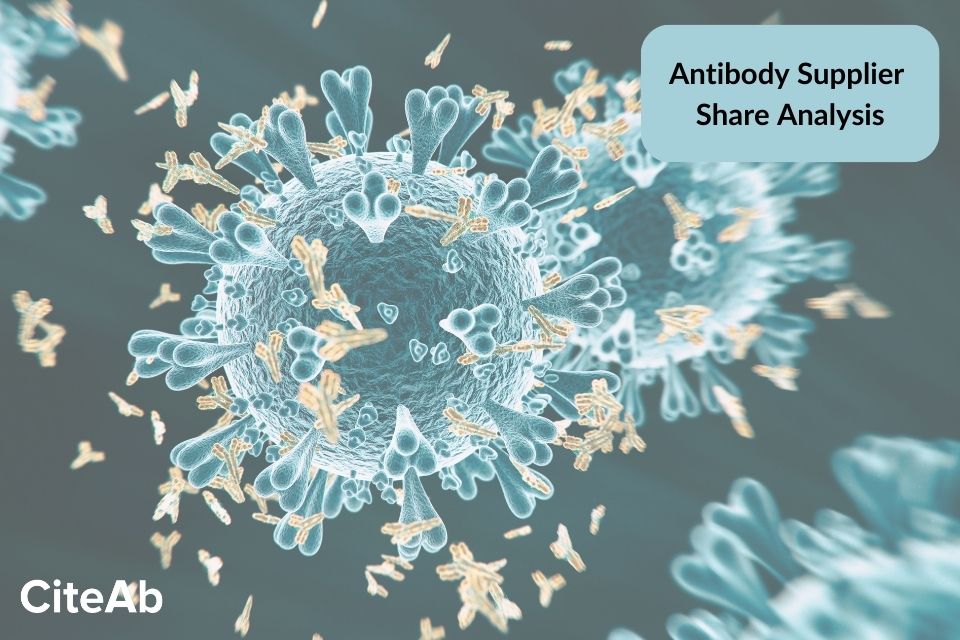 Which research antibody companies are growing? | CiteAb Blog