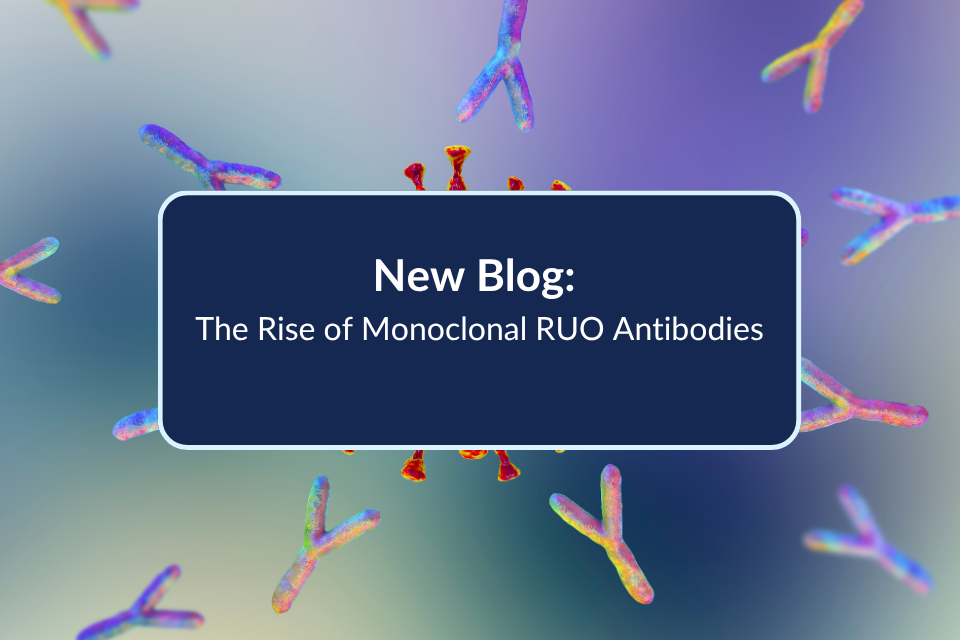 The Rise of RUO Monoclonal Antibody Use - CiteAb BlogCiteAb Blog